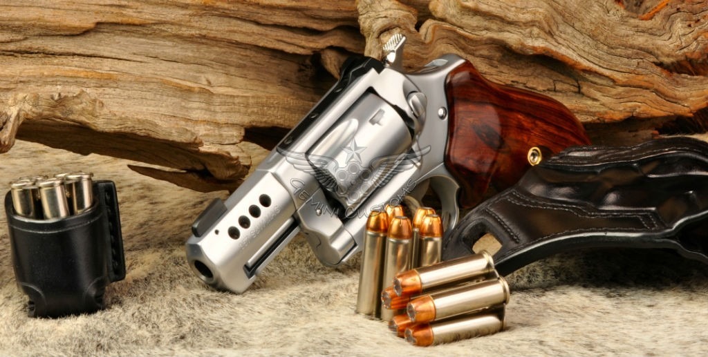 The Ultimate SP101 - Gemini Customs