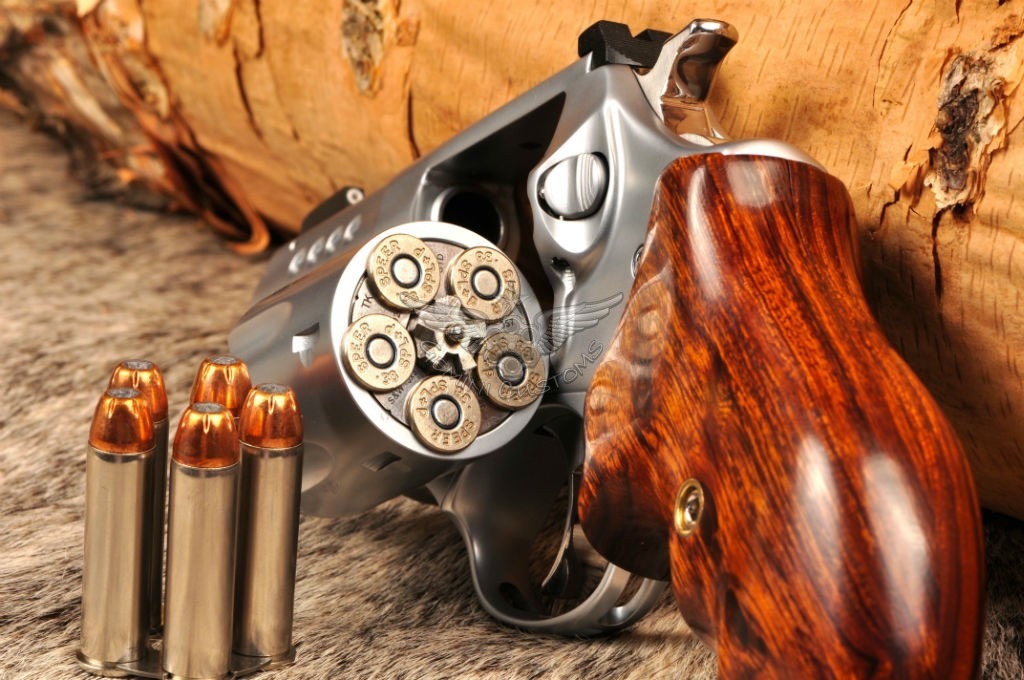 The Ultimate SP101 - Gemini Customs